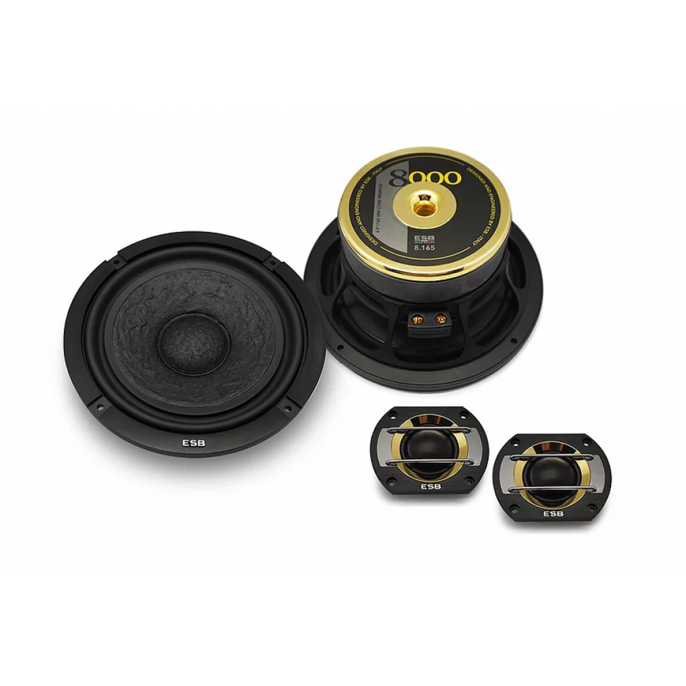 ESB Audio 8000 Series 2-Way Speaker System – Fab Car Audio