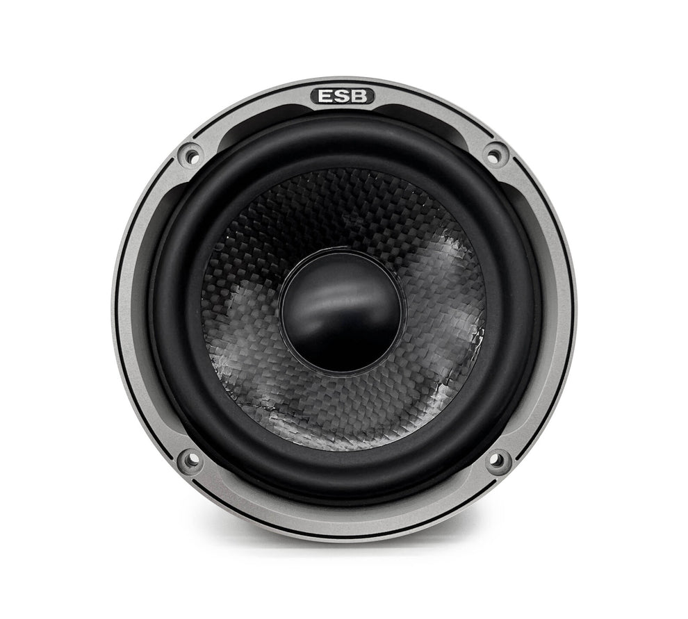 ESB Audio 9000 Series 4"/100 mm High-End Cone Midrange – Fab Car Audio